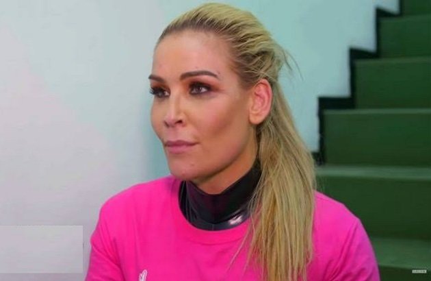 Natalya Wwe 2014