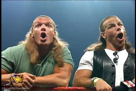 Shawn Michaels And Triple H Dx