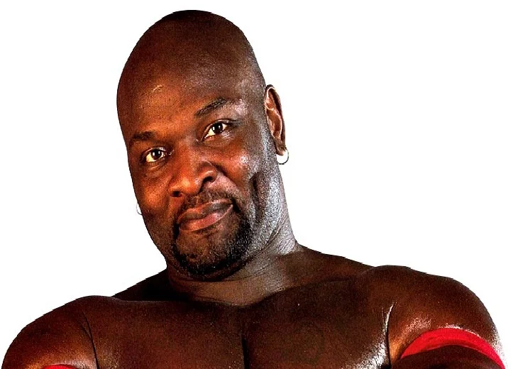 Ahmed Johnson WWE - Wrestling News Plus