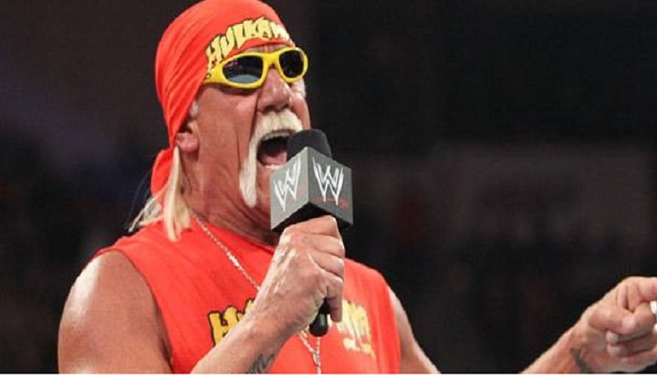 WWE Diva ‘Not happy’ With Hulk Hogan